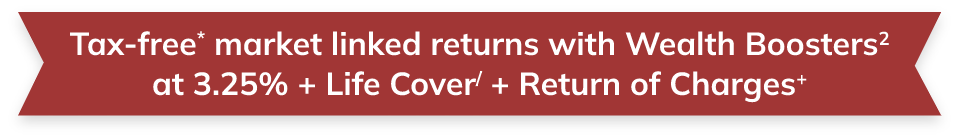 Term Insurance Calculator Online 2024 | ICICI Pru Life