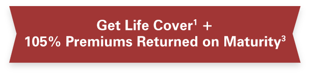 Term Insurance Calculator Online 2024 | ICICI Pru Life